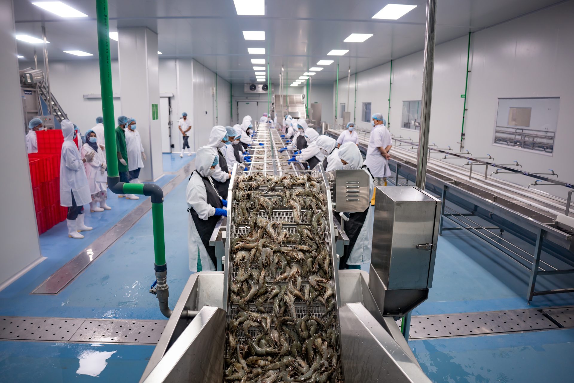 TotalFood Processing | A new era in Bangladeshi frozen good export